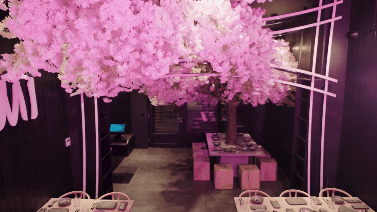 Témoignages - Hanami